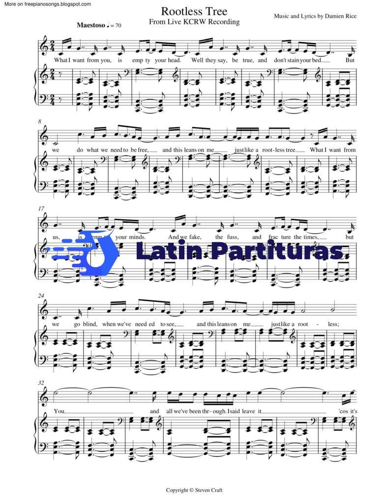 Damien Rice - Rootless Tree - Latin Partituras