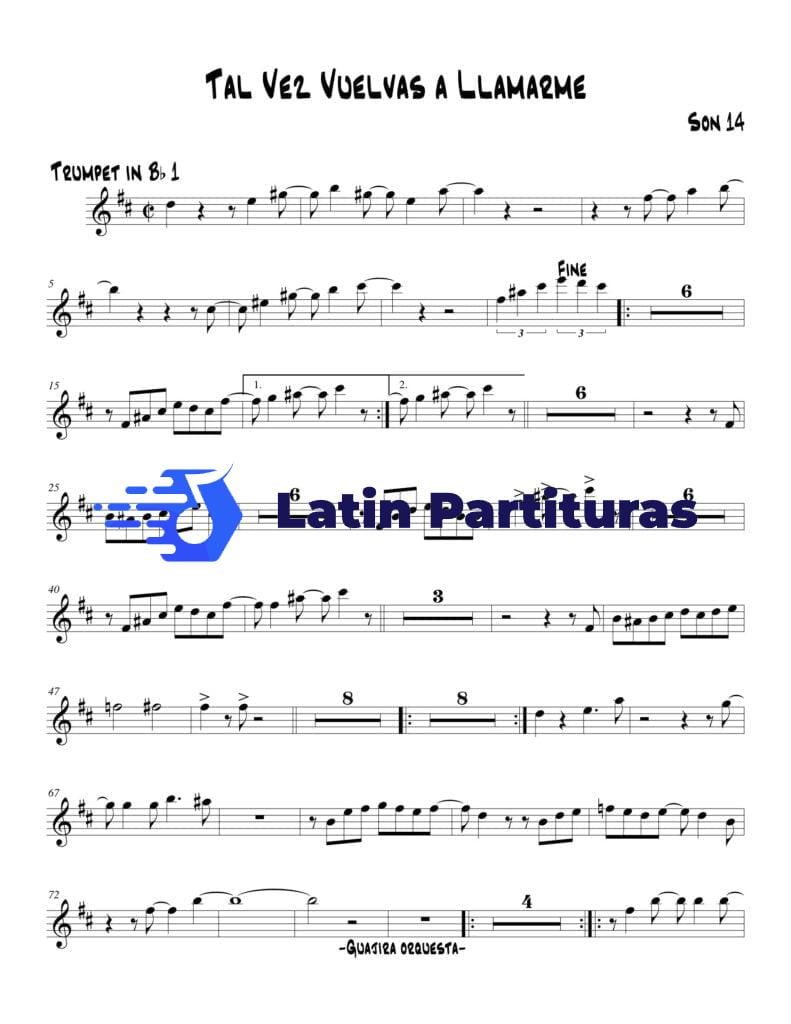 Son 14 - Tal Vez Vuelvas A Llamarme - Latin Partituras